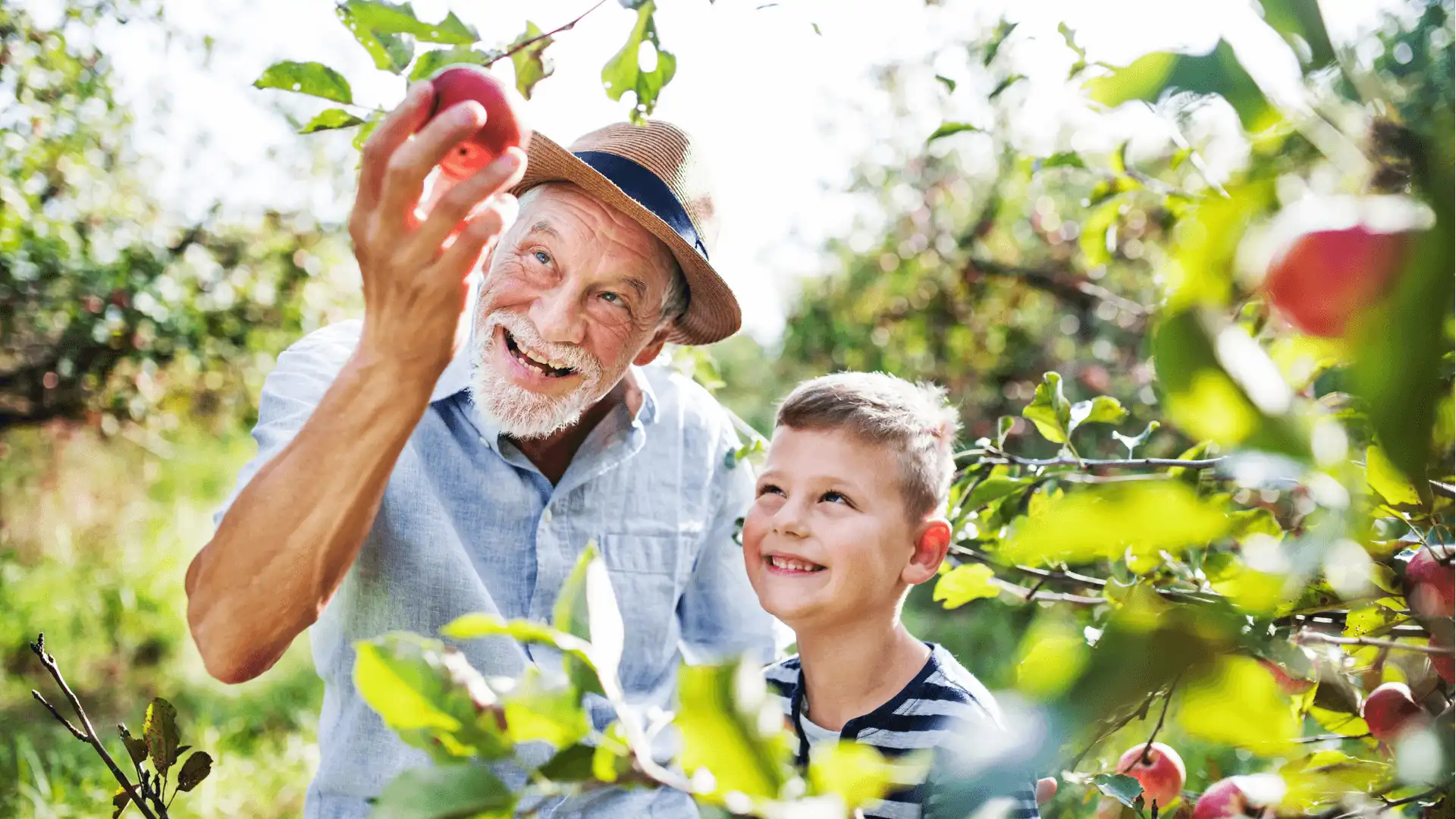 6 Benefits of Intergenerational Parks and Rec Activities - CivicPlus